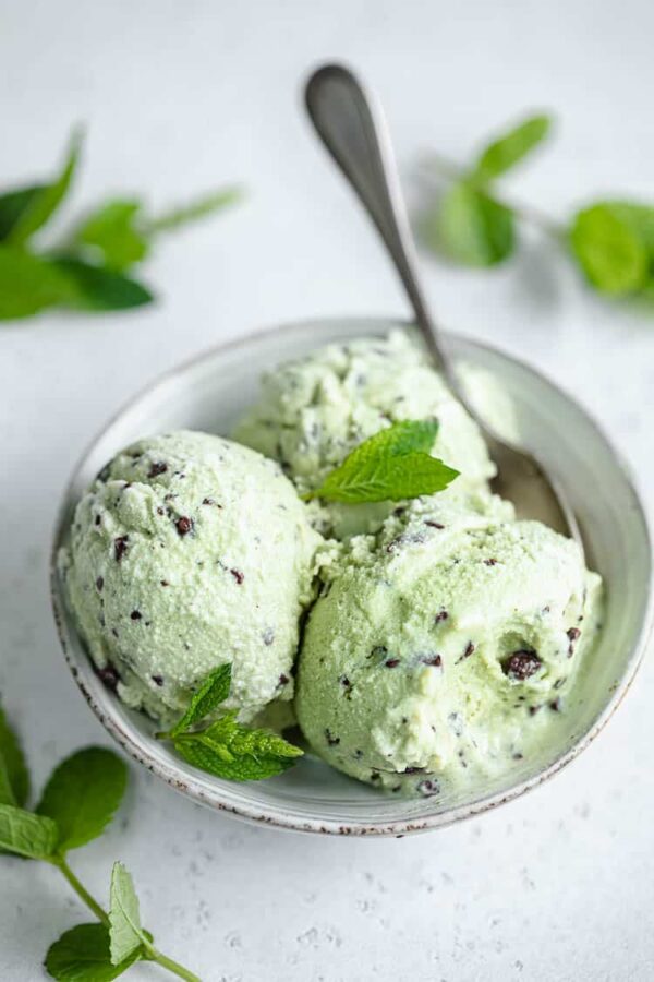 Glace menthe chocolat au Thermomix • Yummix